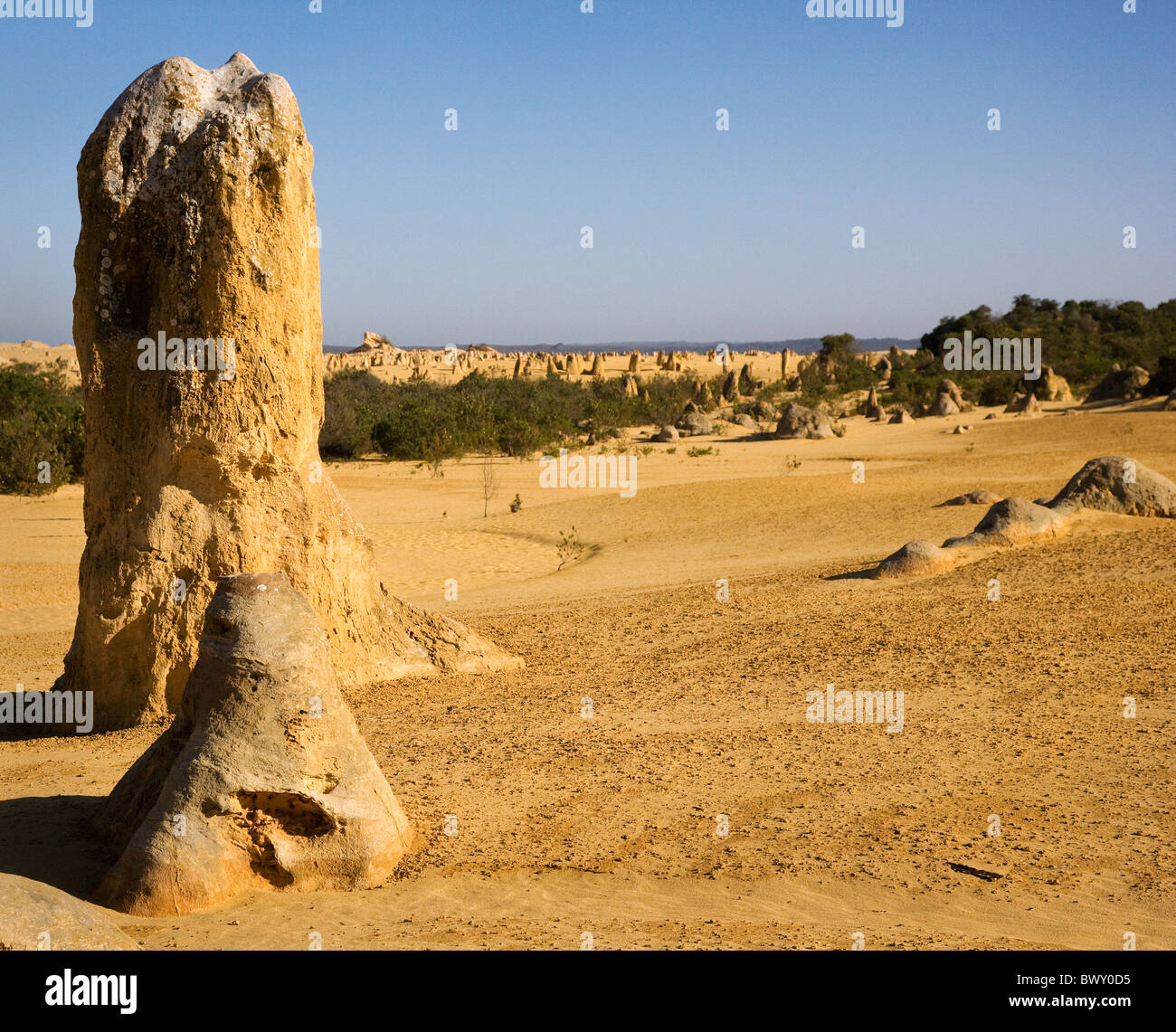 Pinnacles desert Nambung National Park near Cervantes Western Australia ...