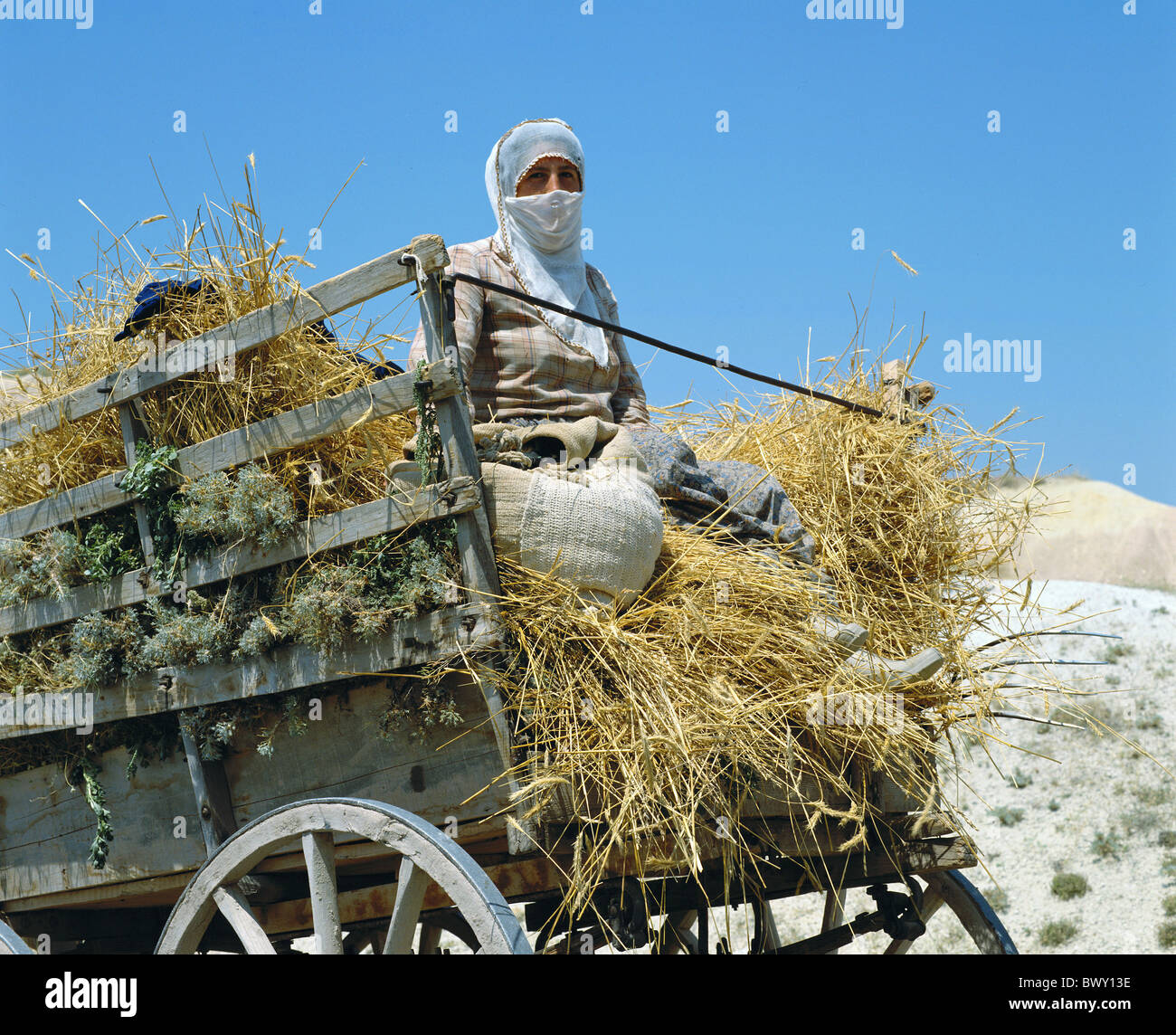 woman Goreme valley haycart people mule veil Turkey Stock Photo - Alamy