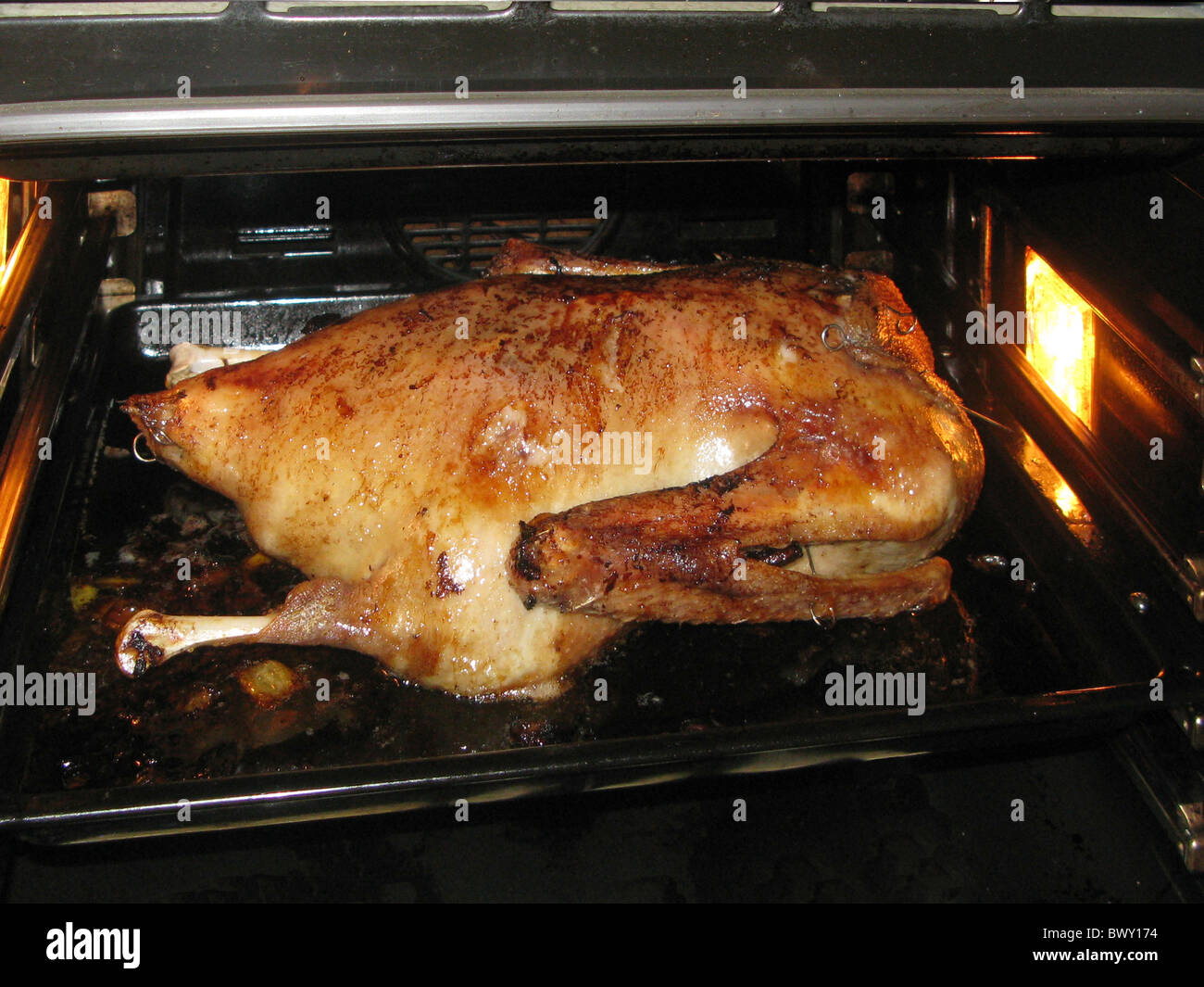 Gans Goose is cooked Stock Photo - Alamy