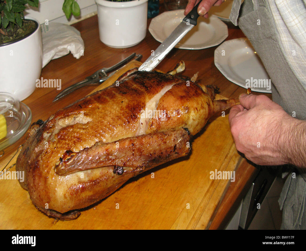 Zubereitet High Resolution Stock Photography and Images - Alamy