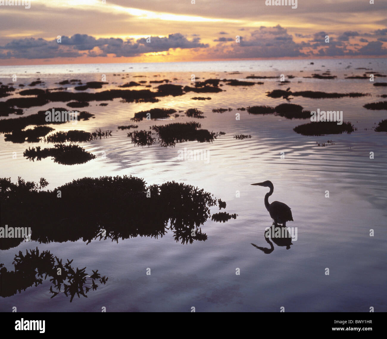 beach holidays symbols beach-ball globe beach seashore symbol holidays ...