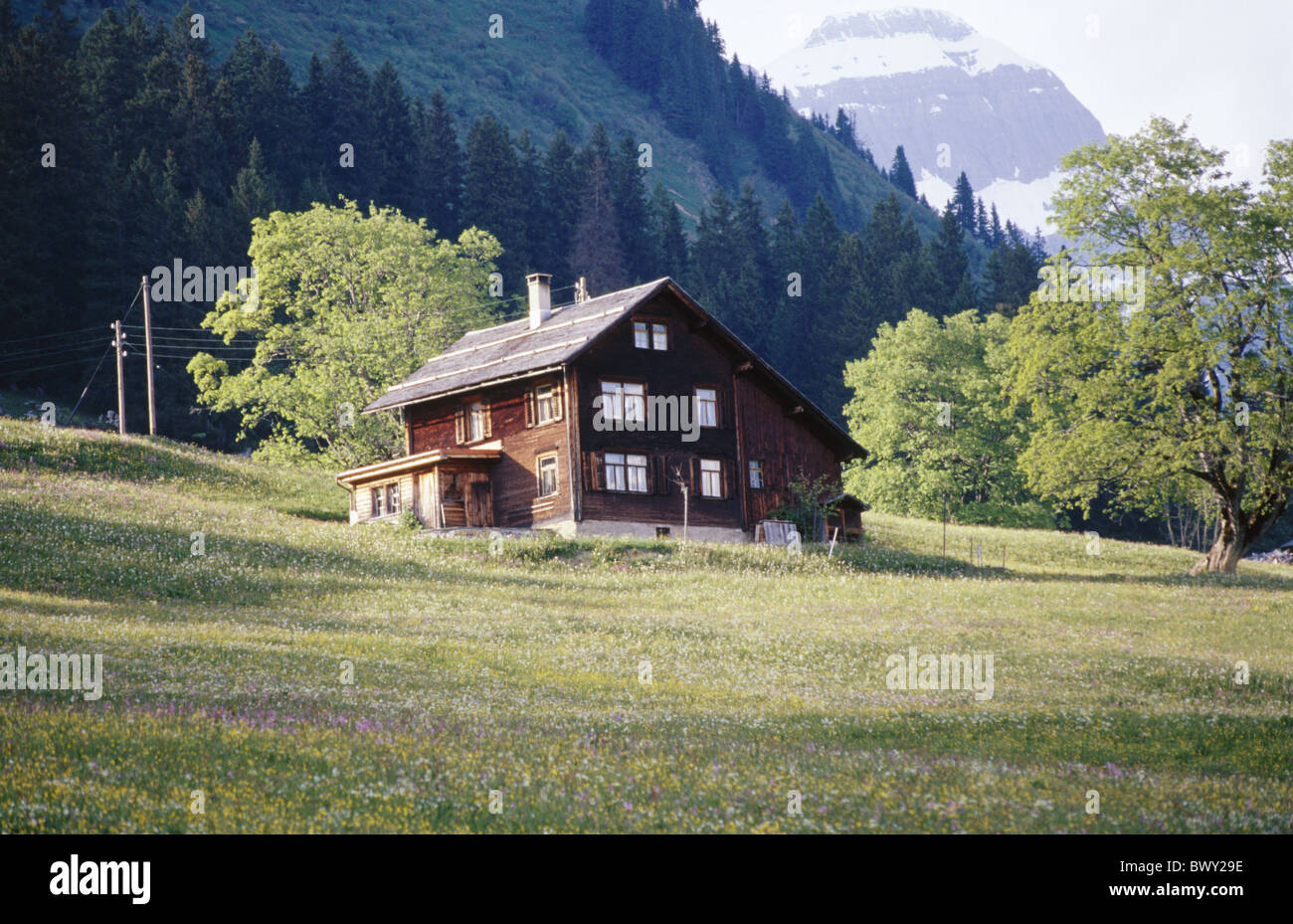 alp alp meadow farmhouse farm Braunwald canton Glarus timber house Alps ...
