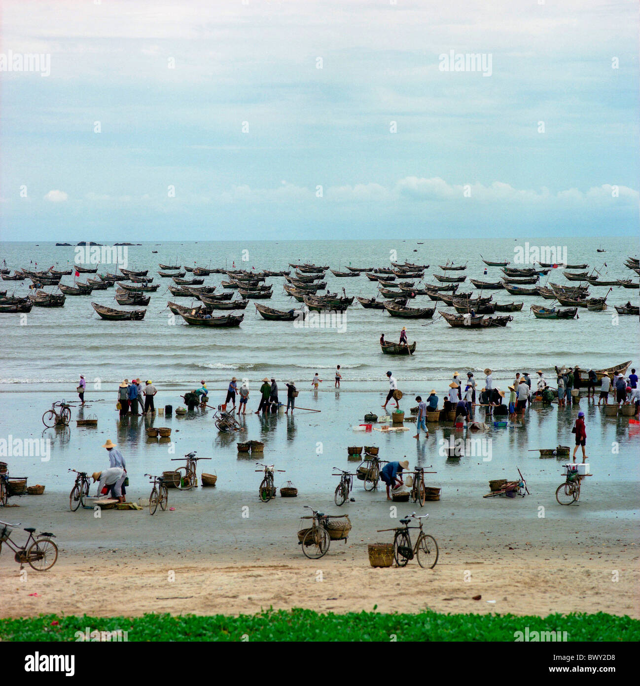 Maoming hi-res stock photography and images - Alamy