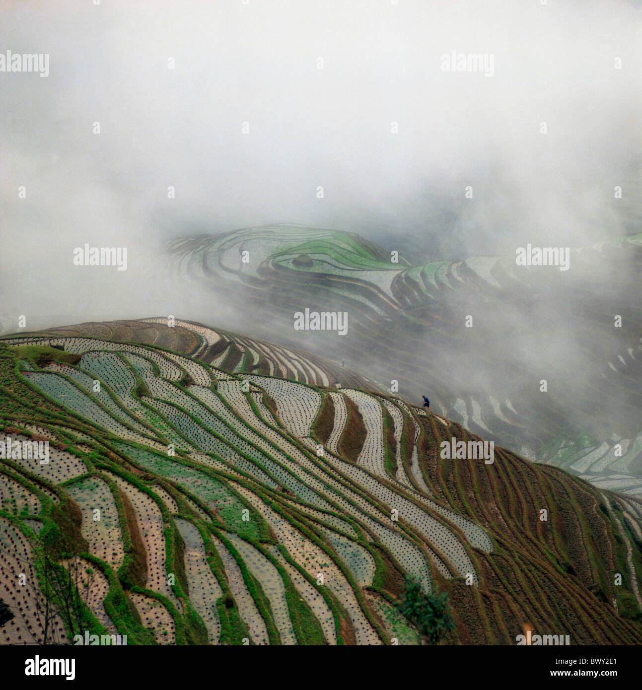 Longji Terraced Field, Longsheng Various Nationalities Autonomous ...