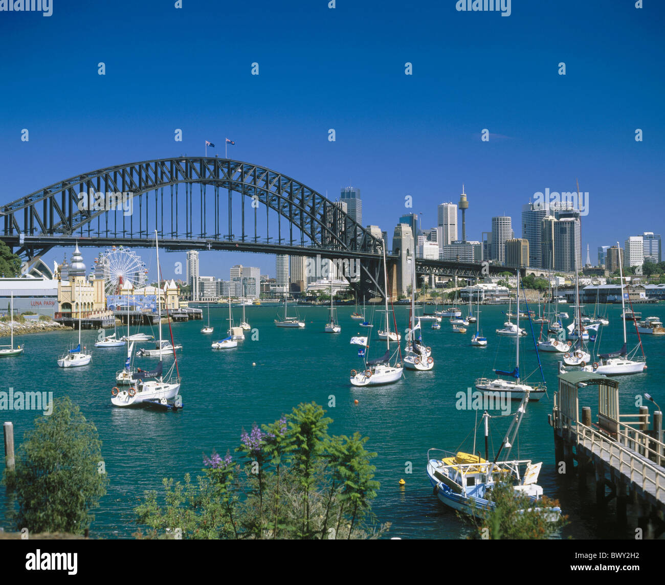 Australia bay Harbour bridge sail boats skyline Sydney Stock Photo - Alamy