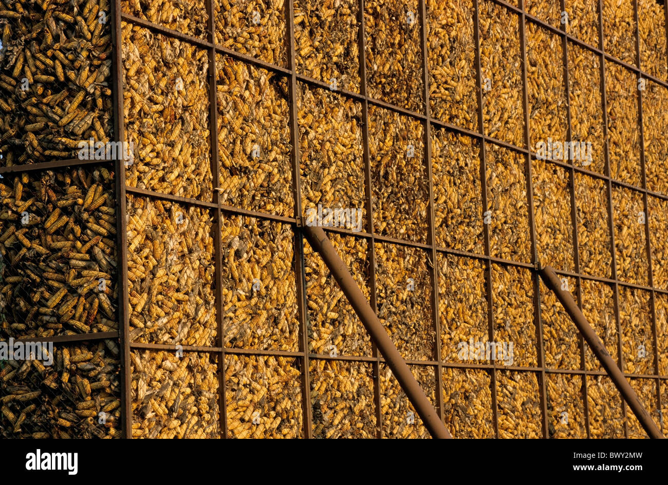 France Isere Cages Of Drying Corn Stock Photo - Alamy