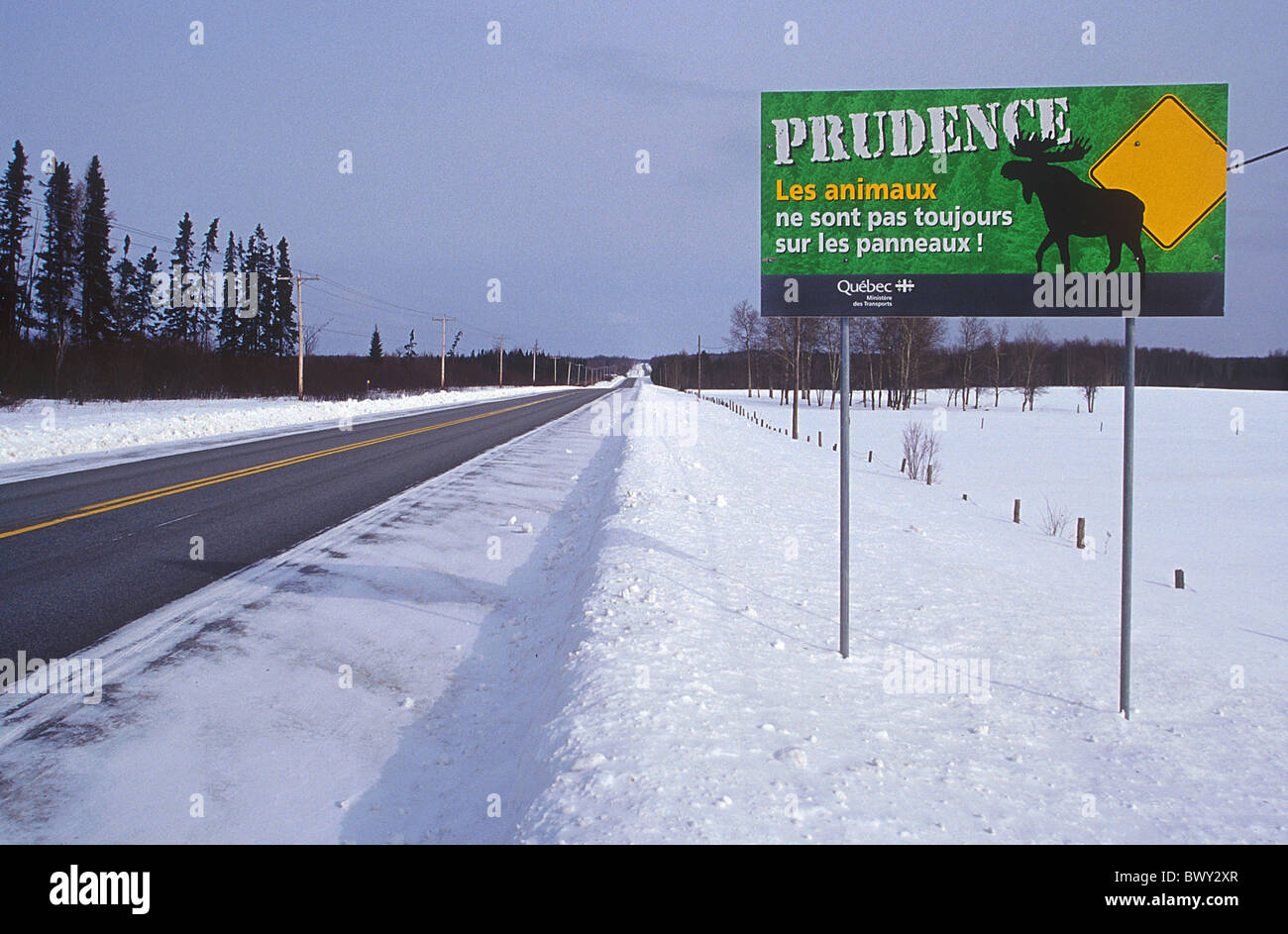 Abitibi animal animals board Canada North America America watch out ...