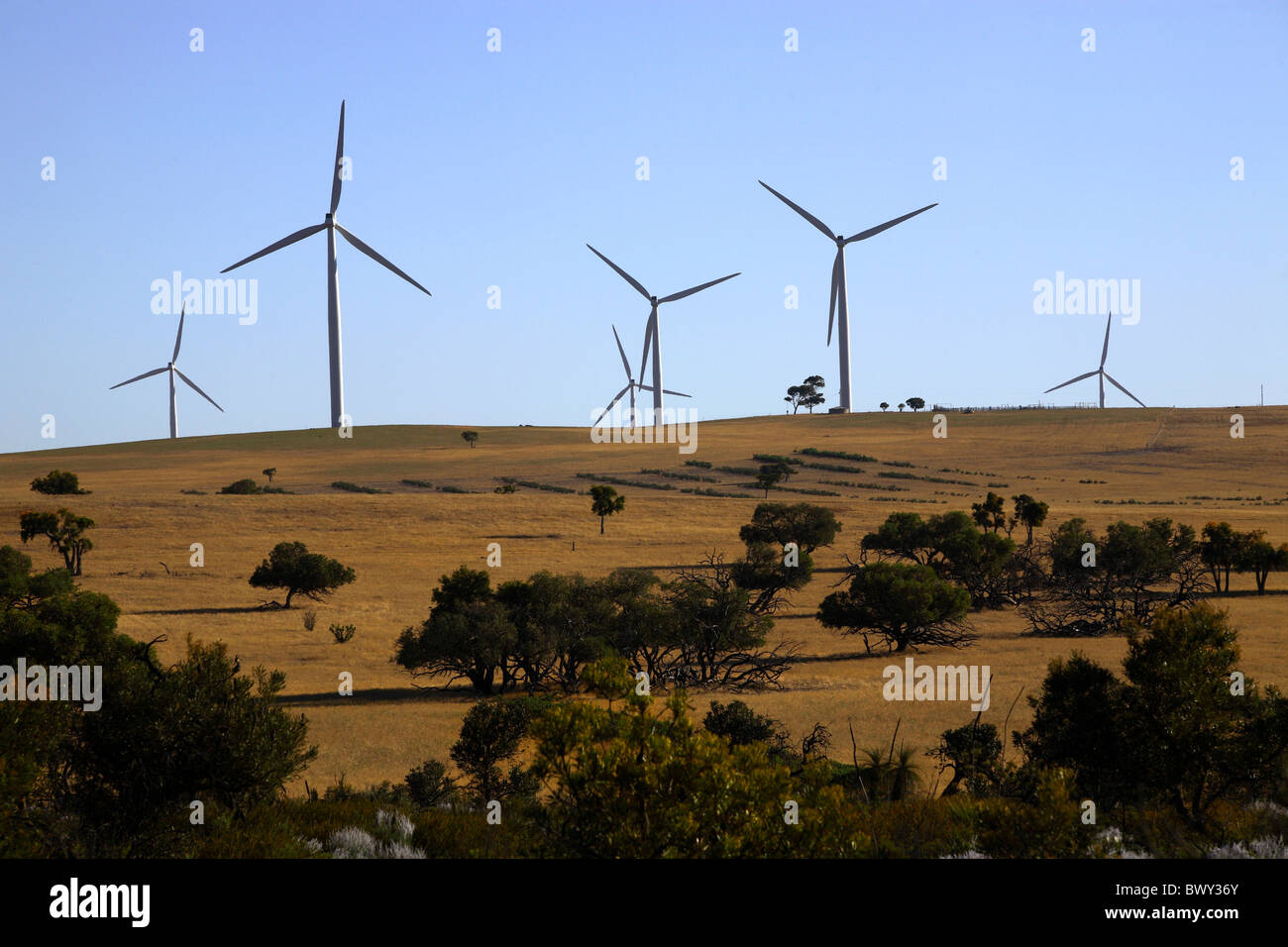 Australia australian wildflowers landscape energy wind turbines ...
