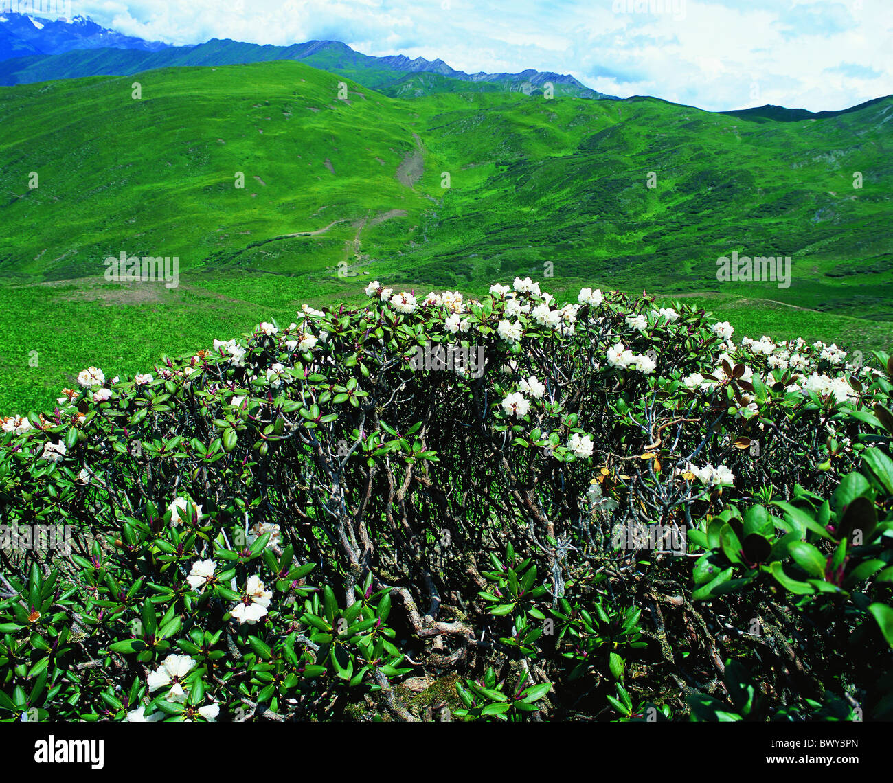 Jiajin mountains hi-res stock photography and images - Alamy