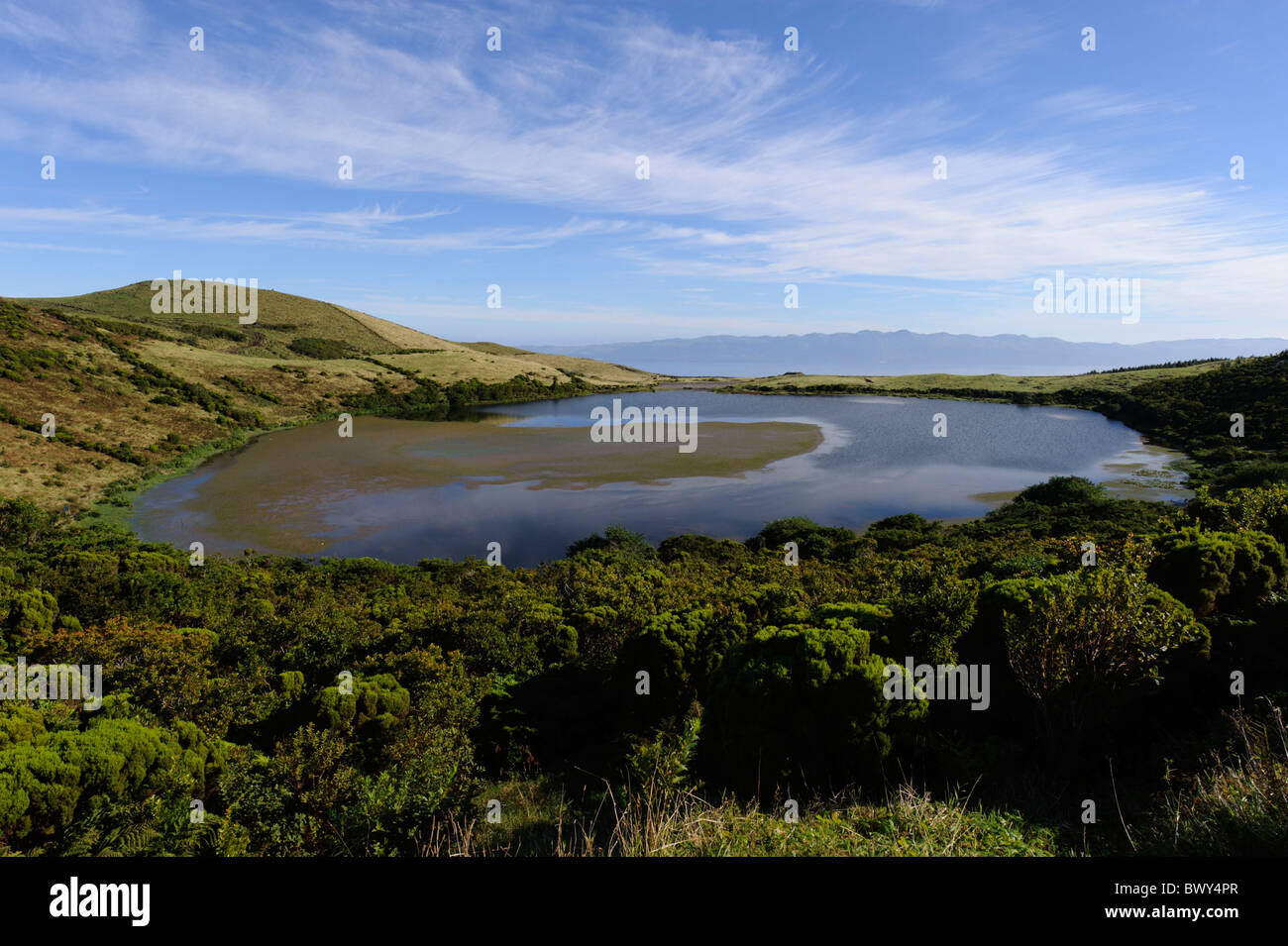 Azorica hi-res stock photography and images - Alamy