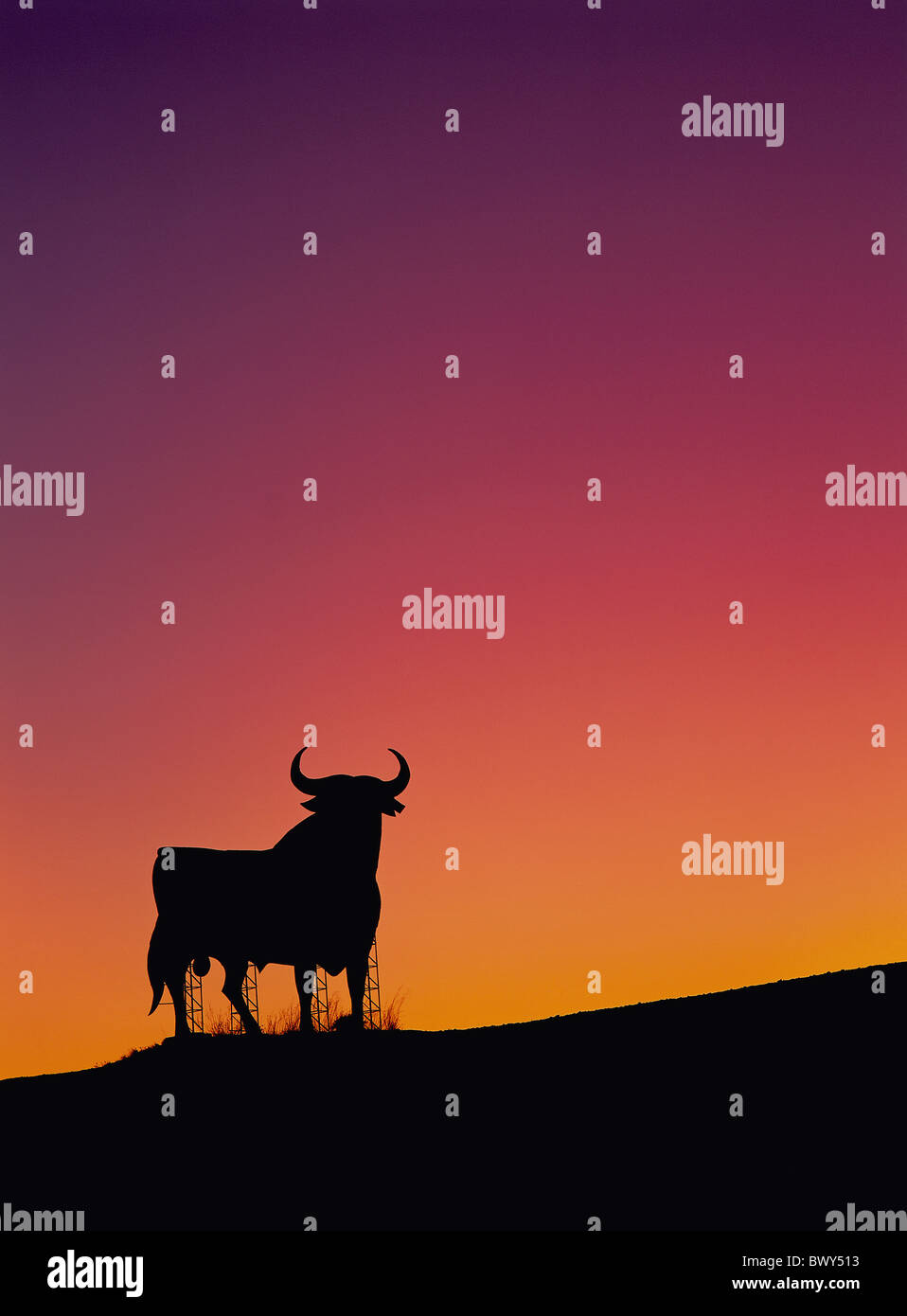 Spain Europe bull silhouette promotion sign near Cadix afterglow ...