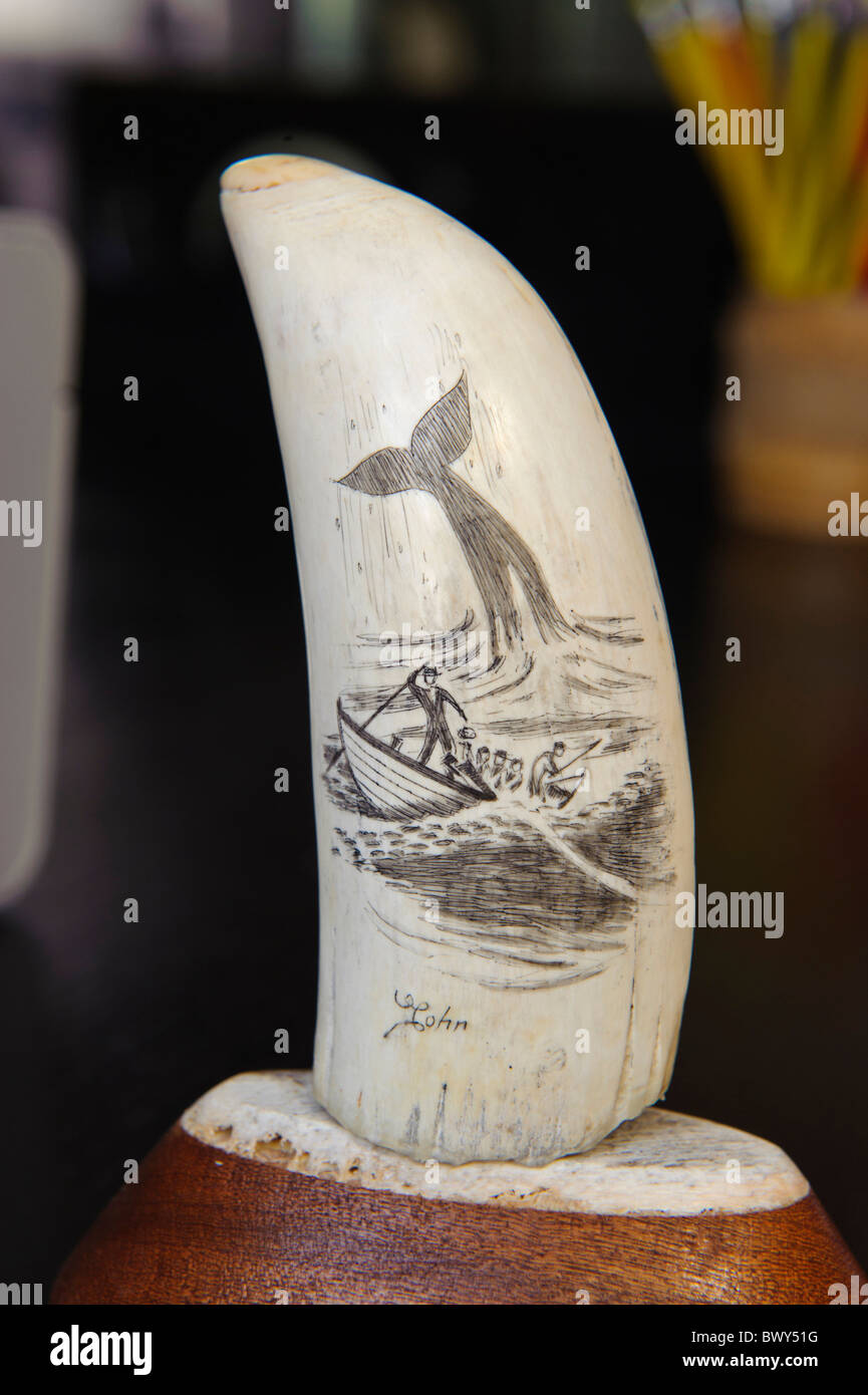 Scrimshaw (Engraved Tooth of Sperm Whale, Isle of Pico, Azores Stock ...