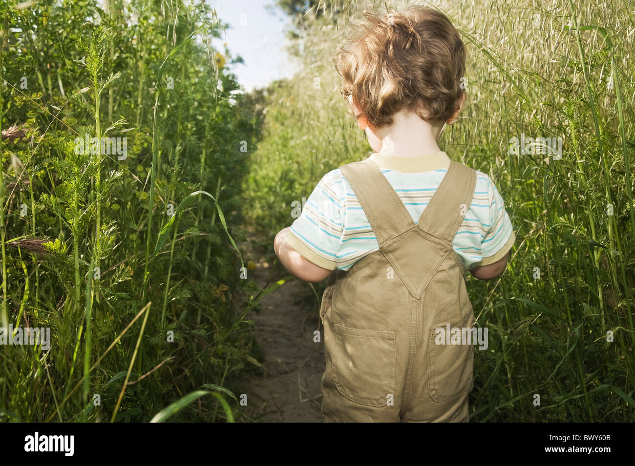 Tall boy 12 hi-res stock photography and images - Alamy
