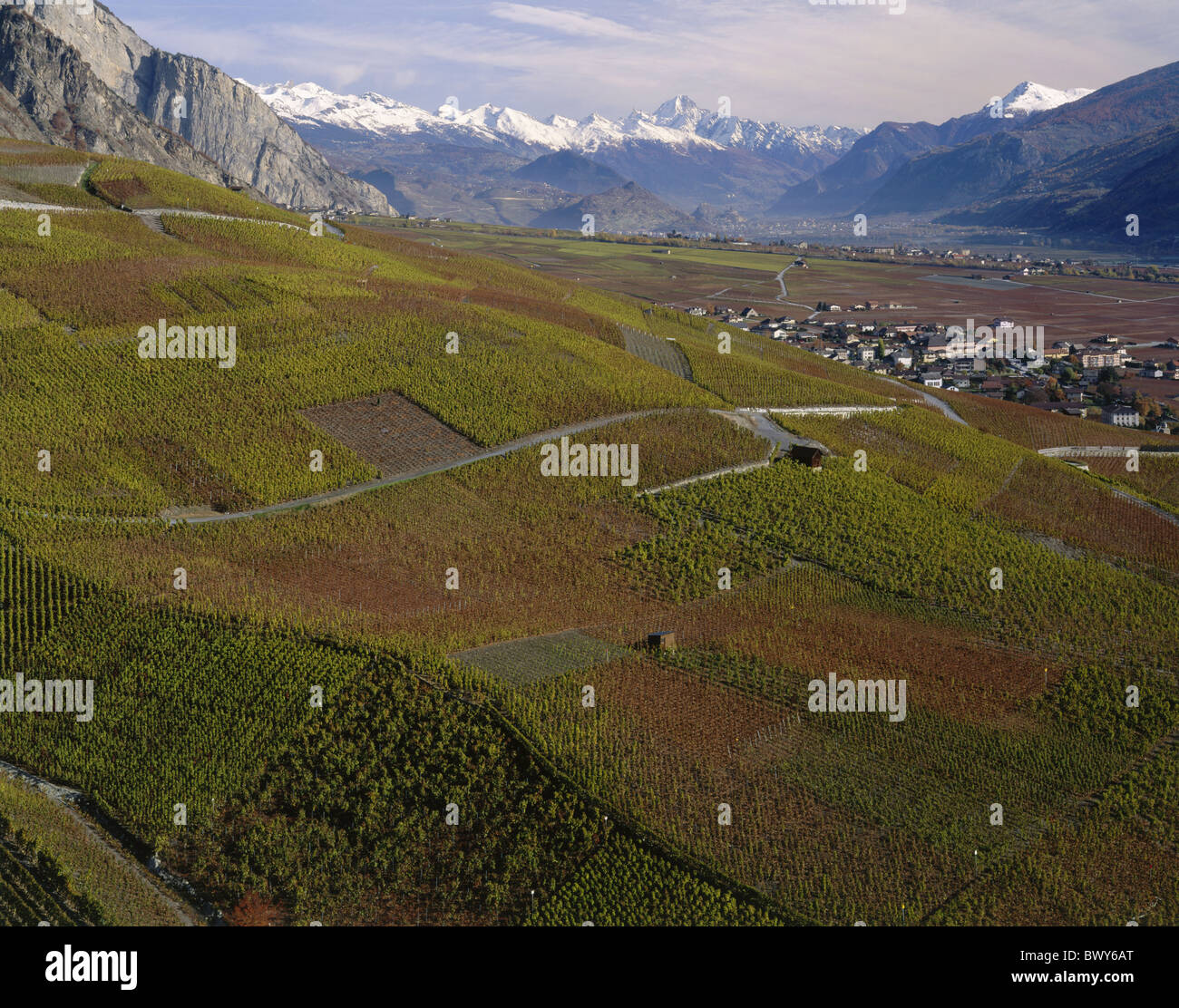 mountain range autumn panorama vineyards scenery mountains alpine Alps ...