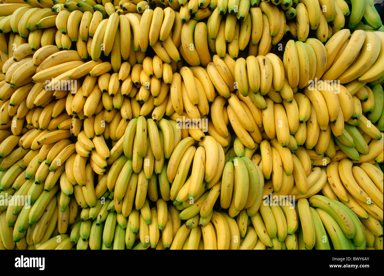 bananas picture-filling concept vegetables trade commerce market fruit ...