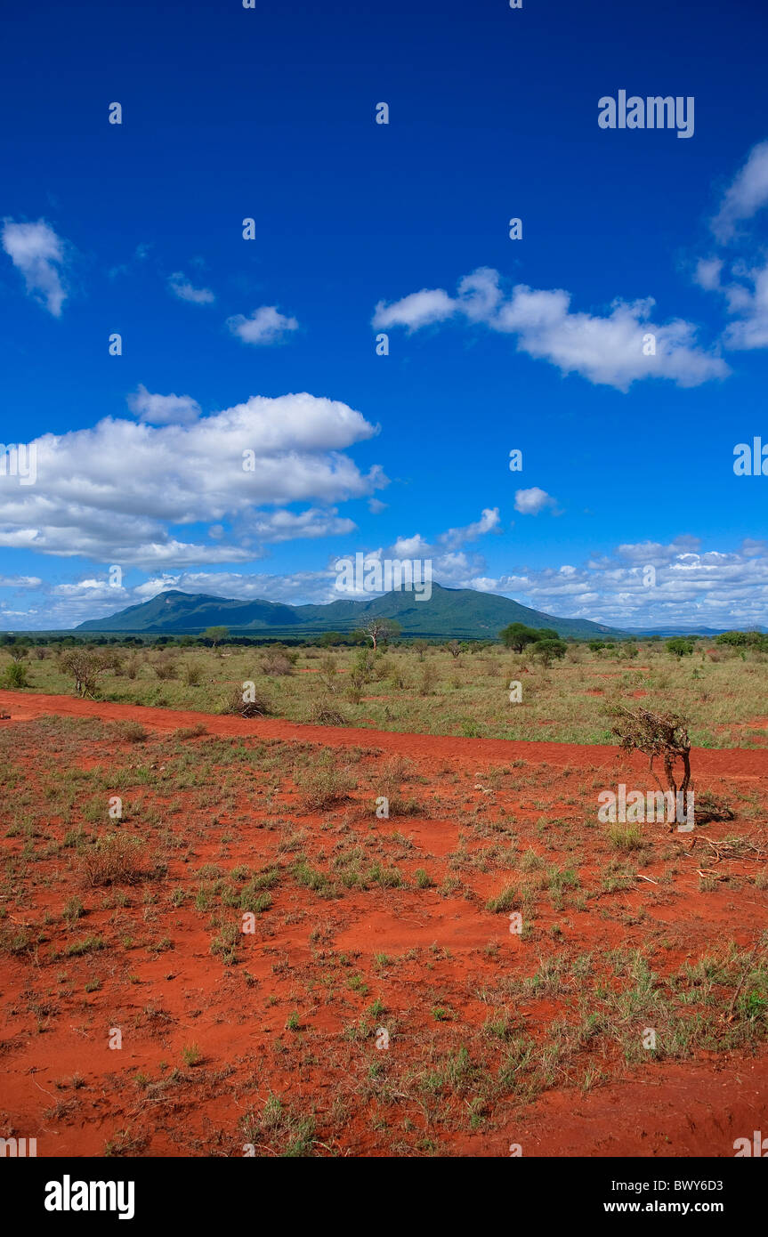 Tsavo National Park, Kenya Stock Photo - Alamy