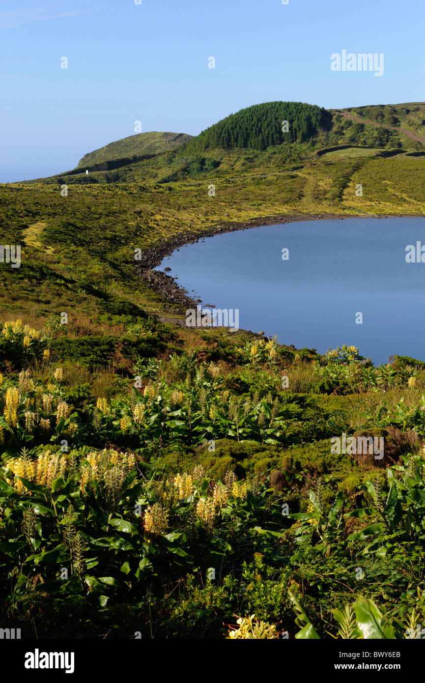 Caldeira Rasa, Isle of Flores, Azores, Portugal Stock Photo - Alamy