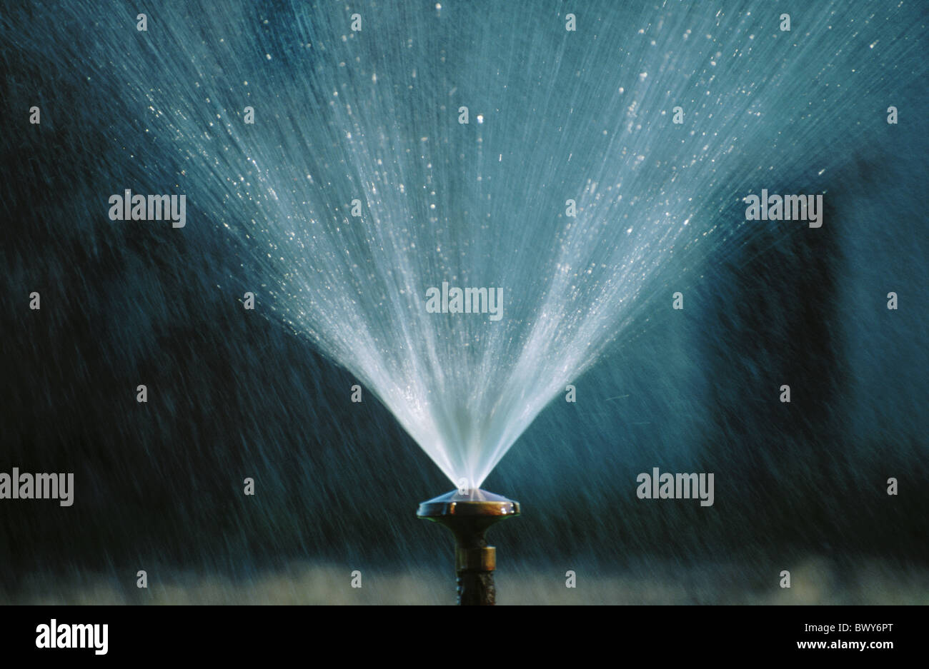 Sprinkler rose hi-res stock photography and images - Alamy
