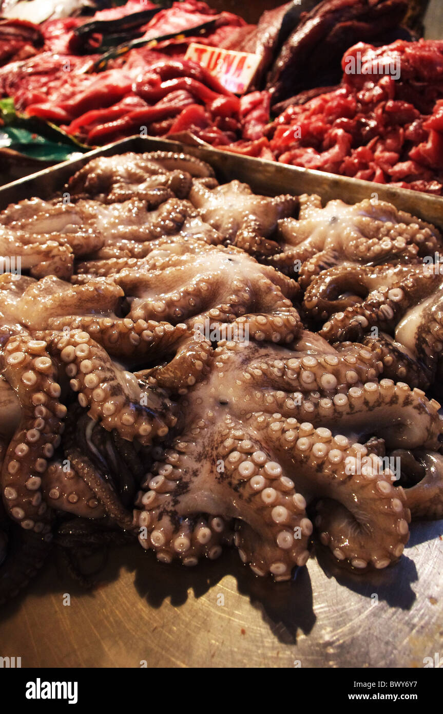 alive octopus sale in market, photos taken in philippines Stock Photo ...