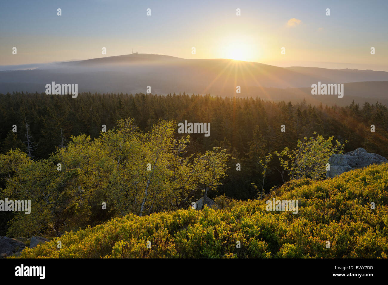 Brocken Mountain View From Achtermann Summit, Harz National Park, Lower ...
