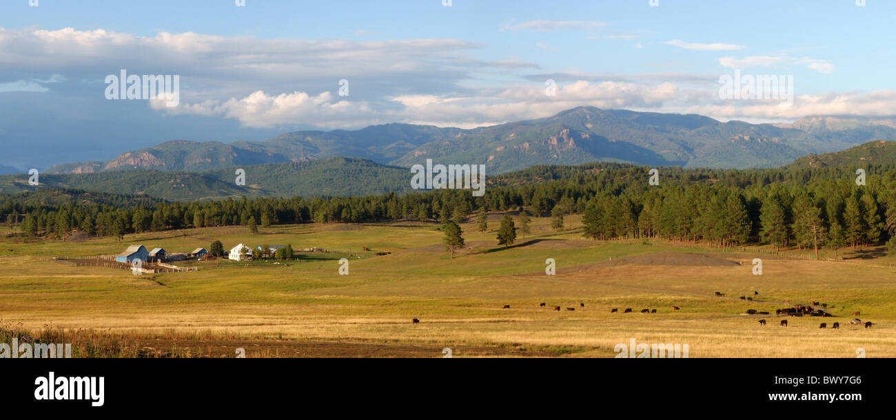 Archuleta hi-res stock photography and images - Alamy