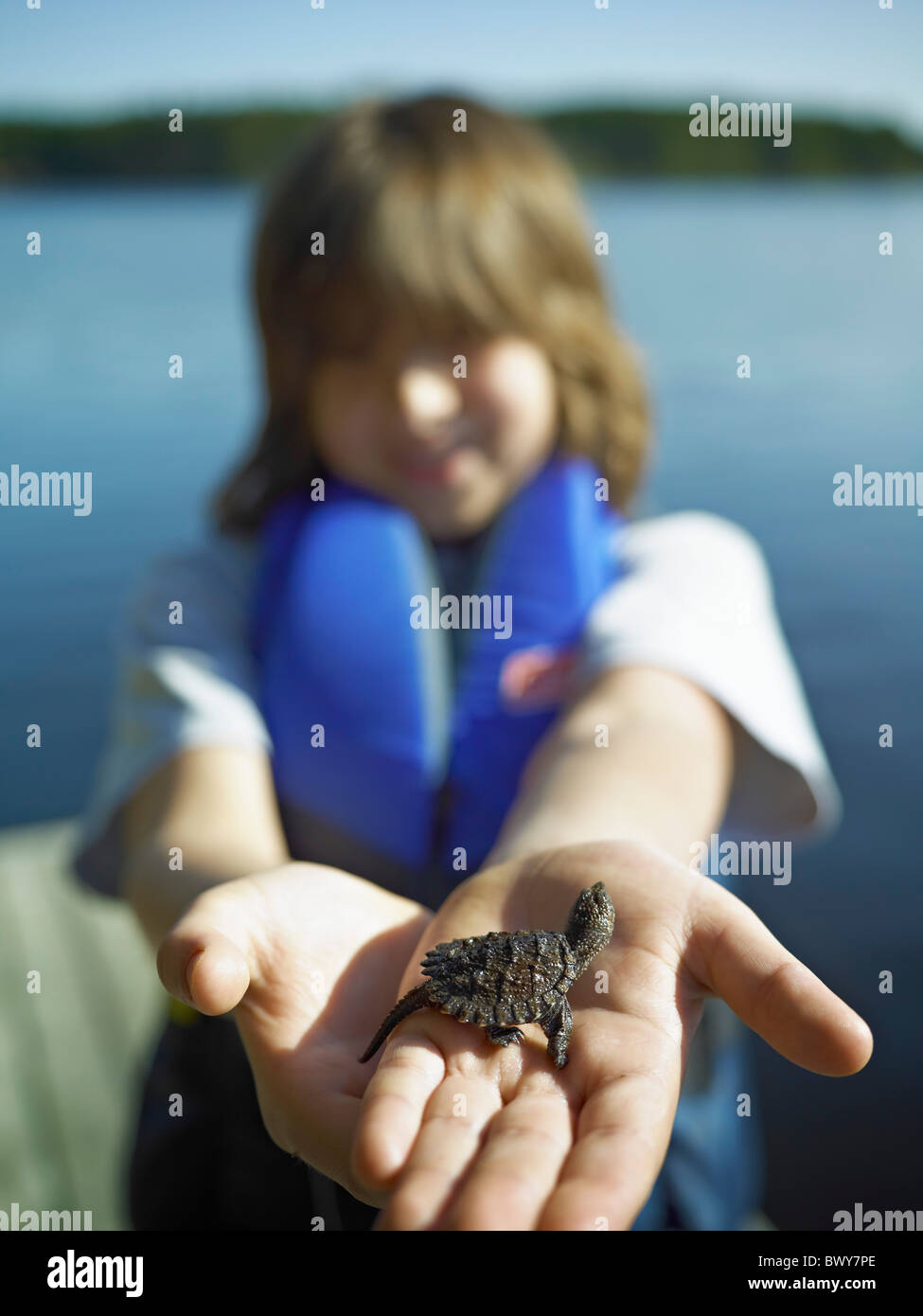 Boy holding Baby Snapping Turtle, Cache Lake, Algonquin Park, Ontario ...