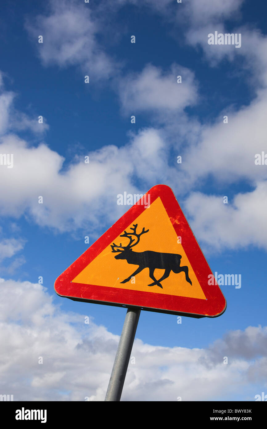 Warning Sign for Reindeers, Sweden Stock Photo - Alamy