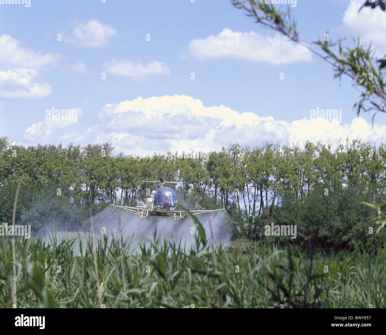 pests fight helicopter spray flight rice fields France Europe Camargue ...