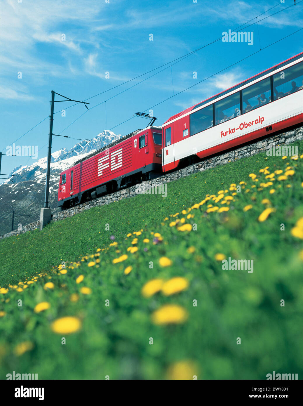 flower meadow flowers Furka Oberalp Glacier express train Matterhorn Gotthard railway mountains ...