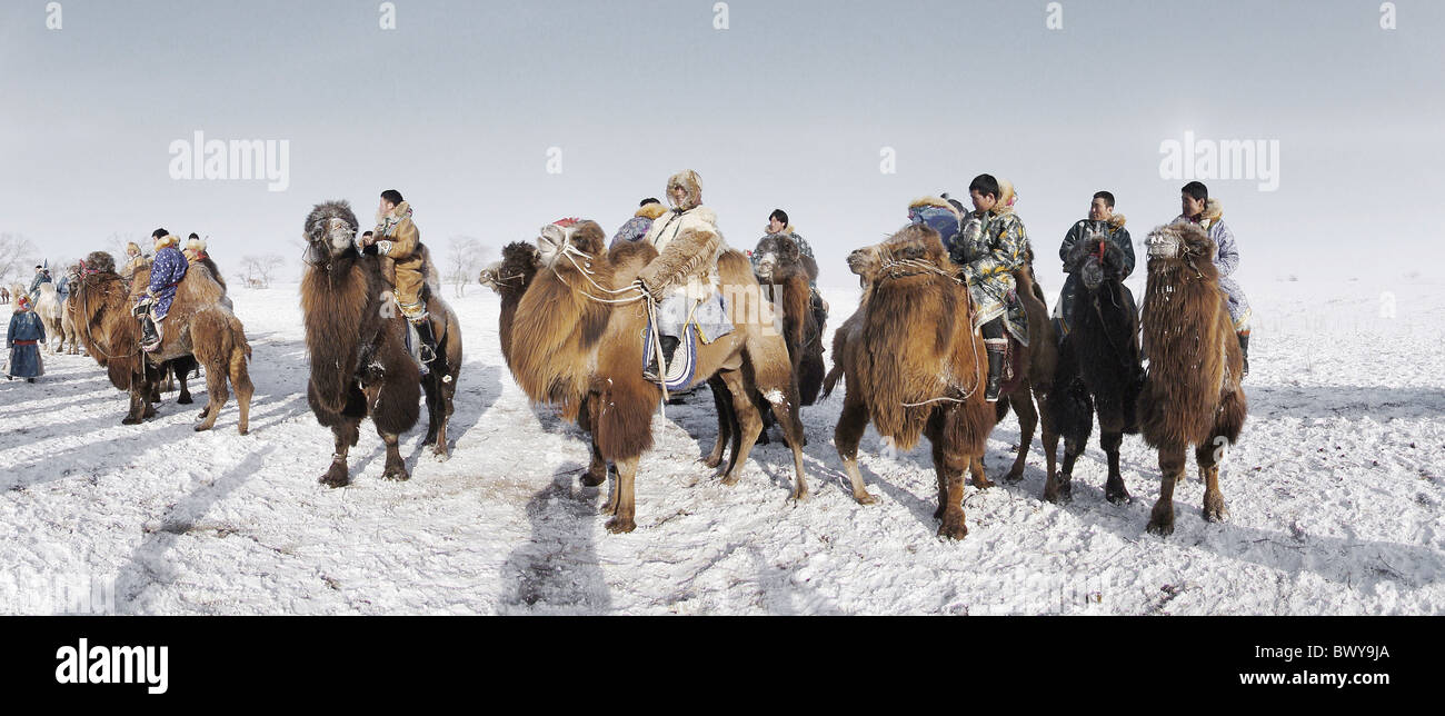 Mongolian men riding camel in winter, Hulun Buir Grassland, Manzhouli ...