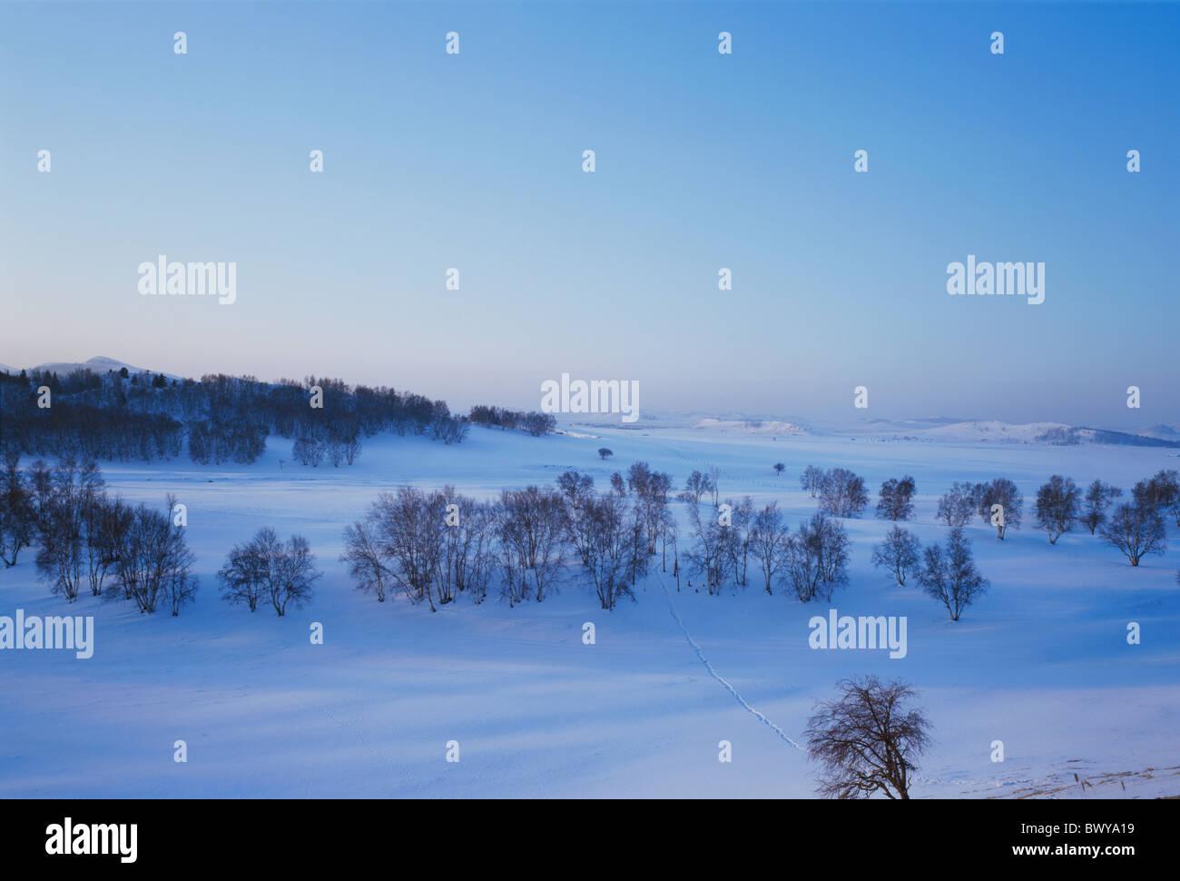 Snow covered Bashang Grassland at dawn, Hebei Province, China Stock ...