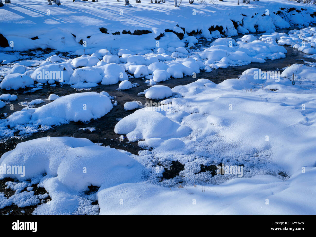 Snow covered creek, Bashang Grassland, Hebei Province, China Stock ...