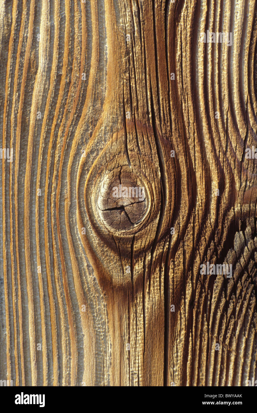 eye detail wood wooden eye surface structure Stock Photo - Alamy