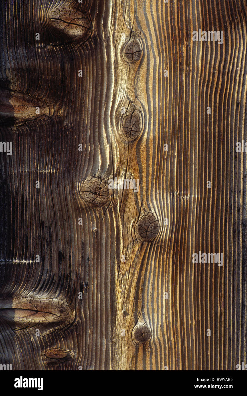 detail wood wooden eyes surface structure Stock Photo - Alamy