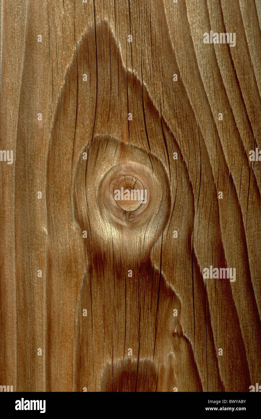 detail wood wooden eye surface structure Stock Photo - Alamy
