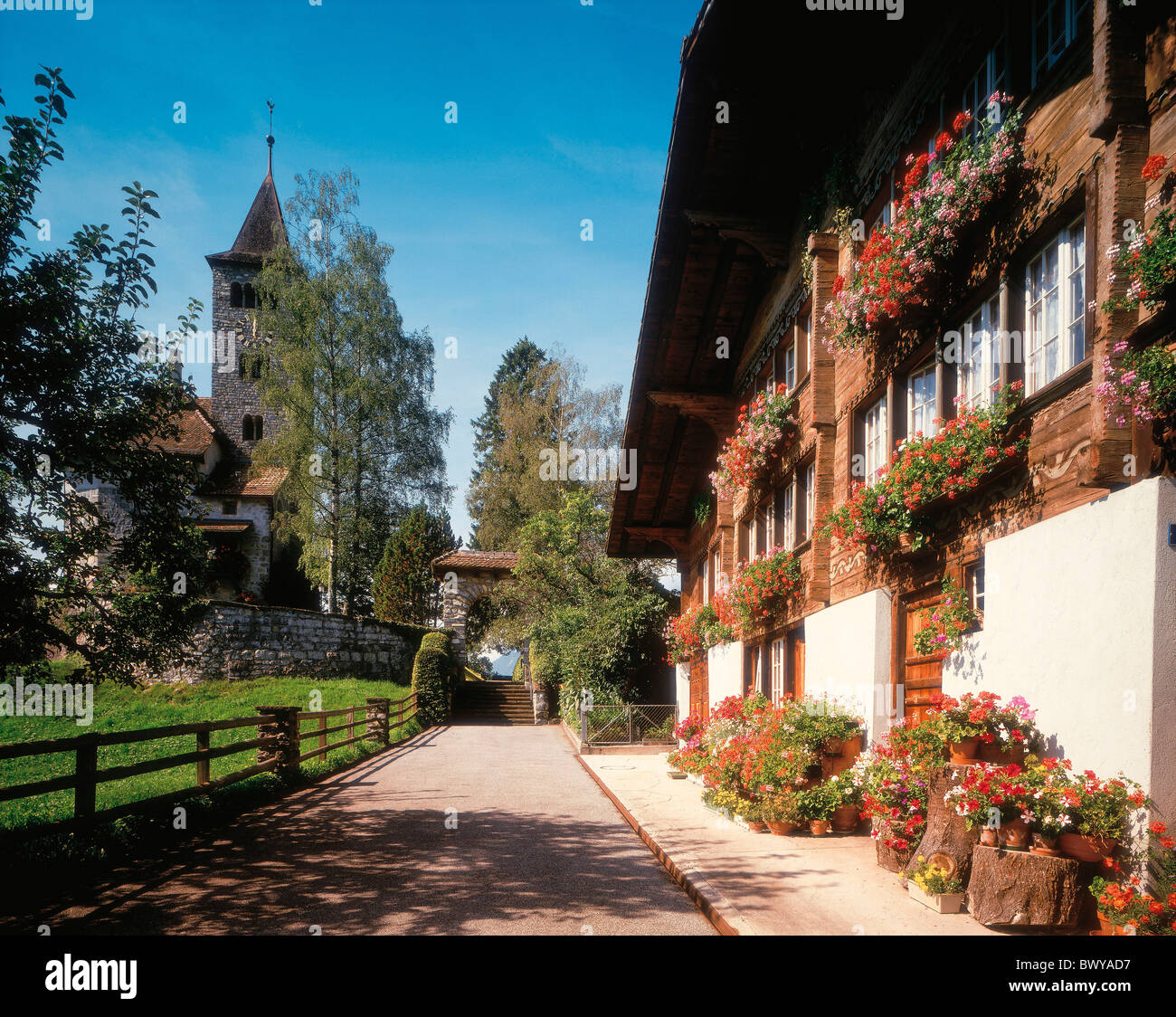 farmhouse Bernese Oberland flower window Brienz chalet geraniums timber ...