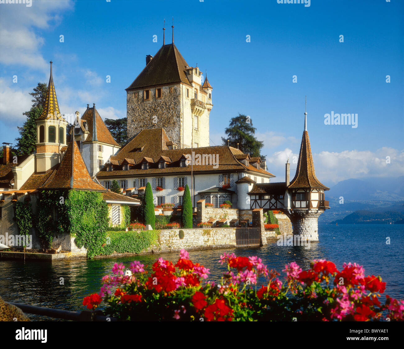 alpine Alps architecture mountains Bernese Oberland flowers geraniums ...