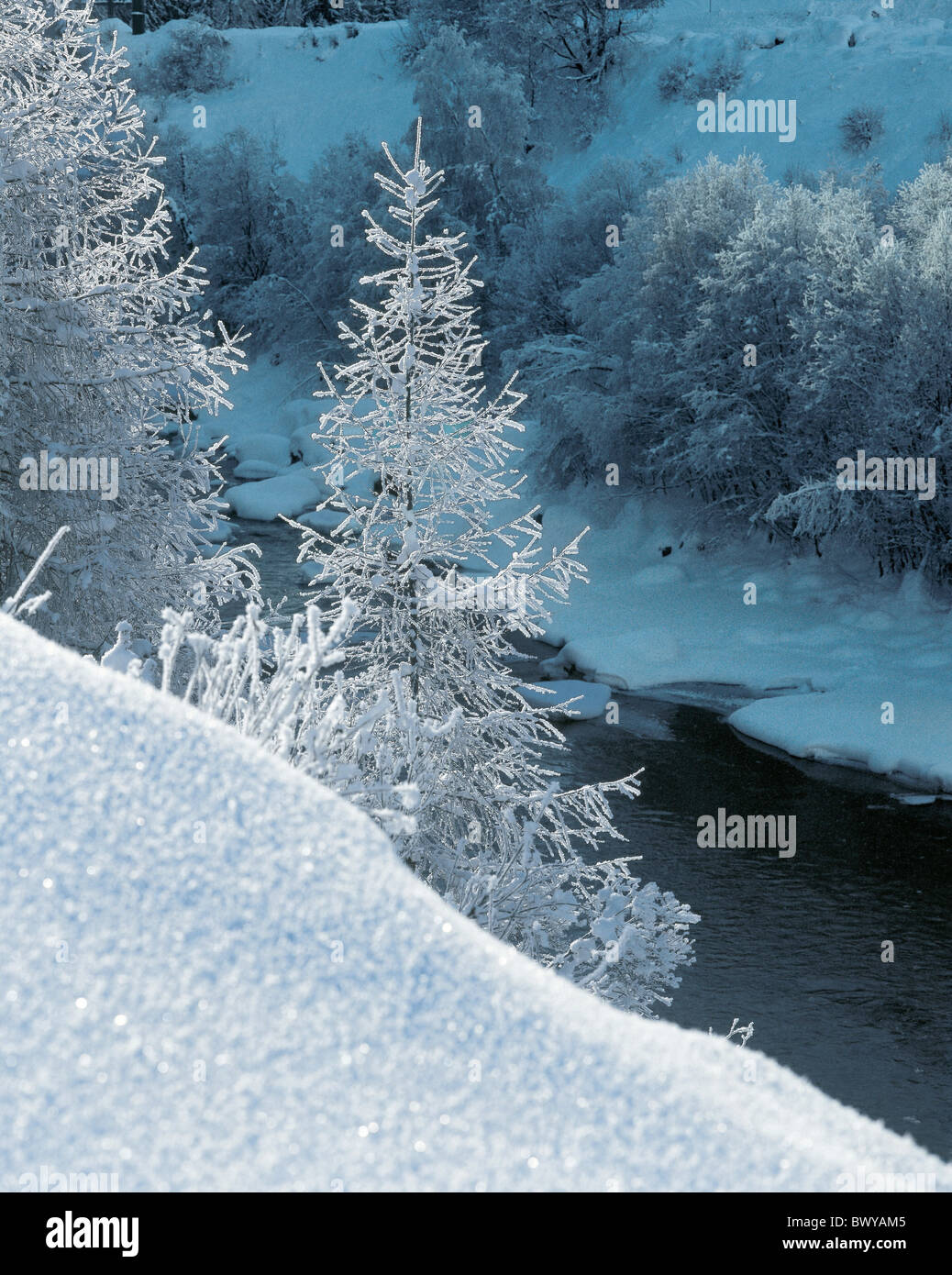 brook stream ice larch nature river scenery landscape shores snow trees ...