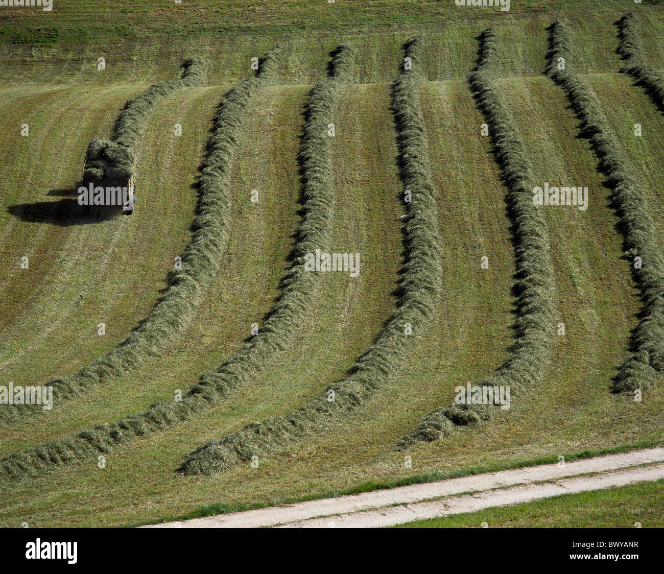 Hay alps making hay harvest hi-res stock photography and images - Alamy