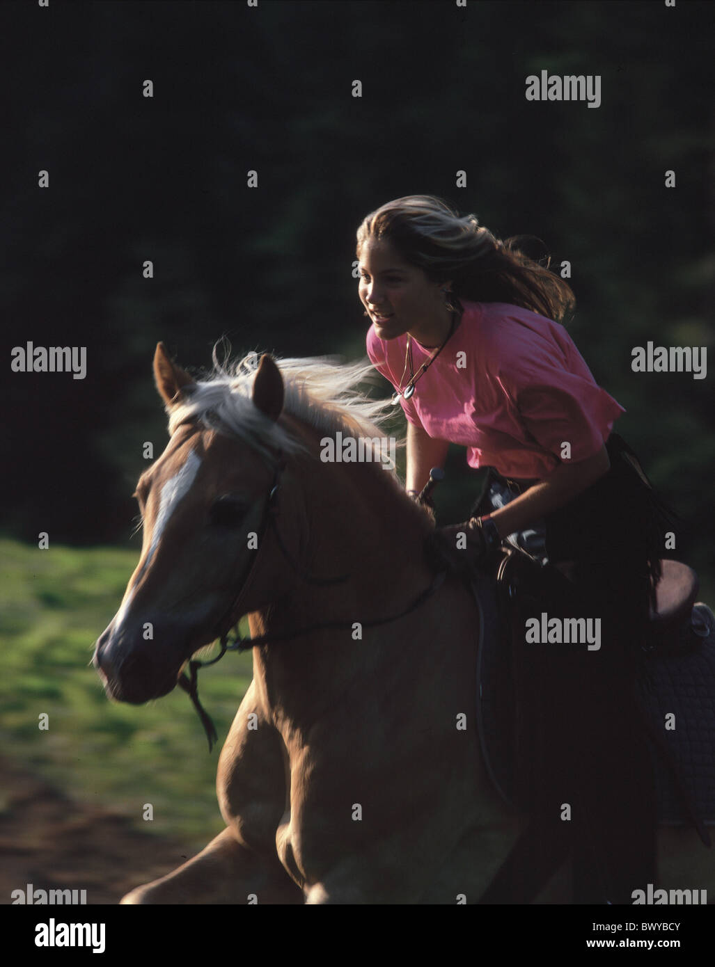 Riding animals hi-res stock photography and images - Alamy