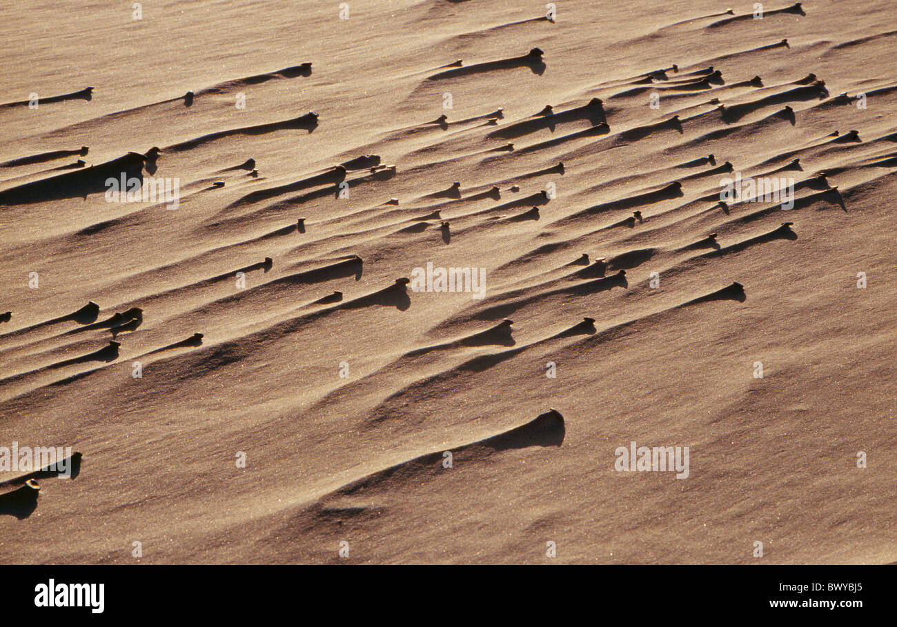 sand shade structure surface concepts Stock Photo - Alamy
