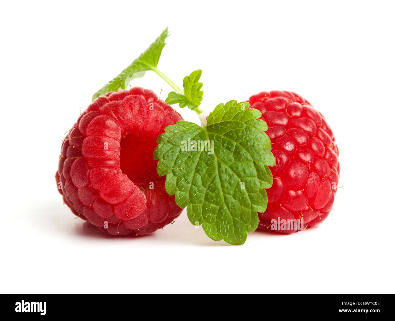 close up of two raspberries with mint leaves on white background Stock ...