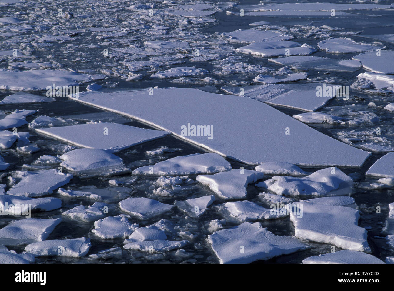 Alaska USA ice Inlet Cook Kachemak Bay sea stack ice Antarctic Ocean ...