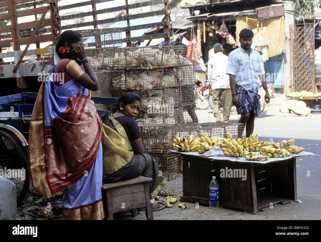 Fruit seller in Zam Bazaar in Triplicane ,Chennai,Tamilnadu,India Stock ...