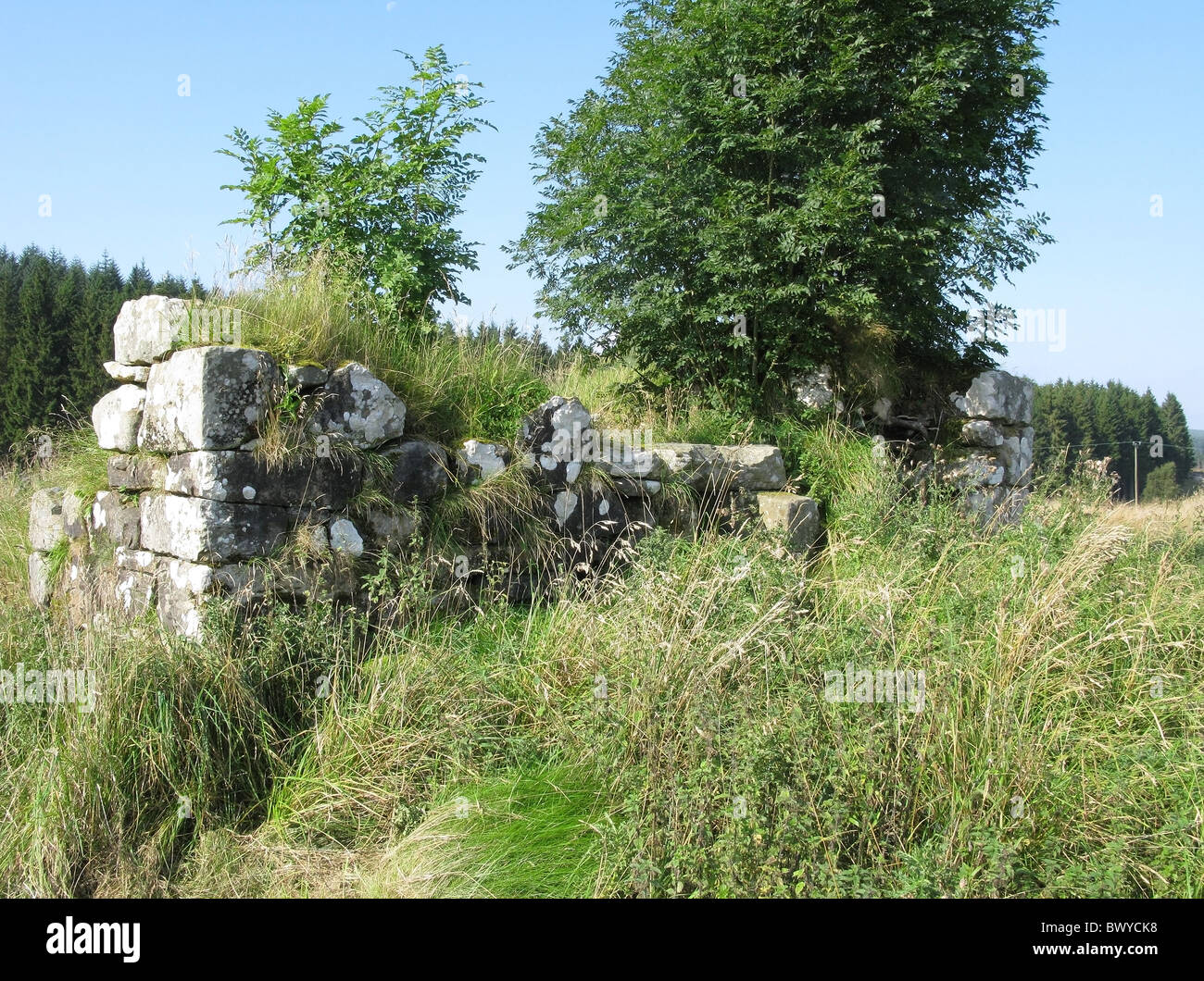 Uk bastle tarset hi-res stock photography and images - Alamy