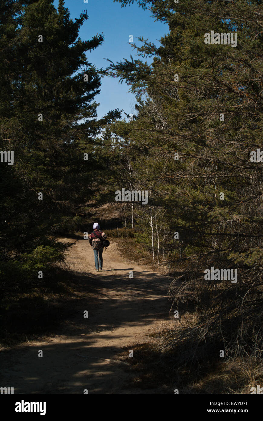 Spruce woods provincial park hi-res stock photography and images - Alamy
