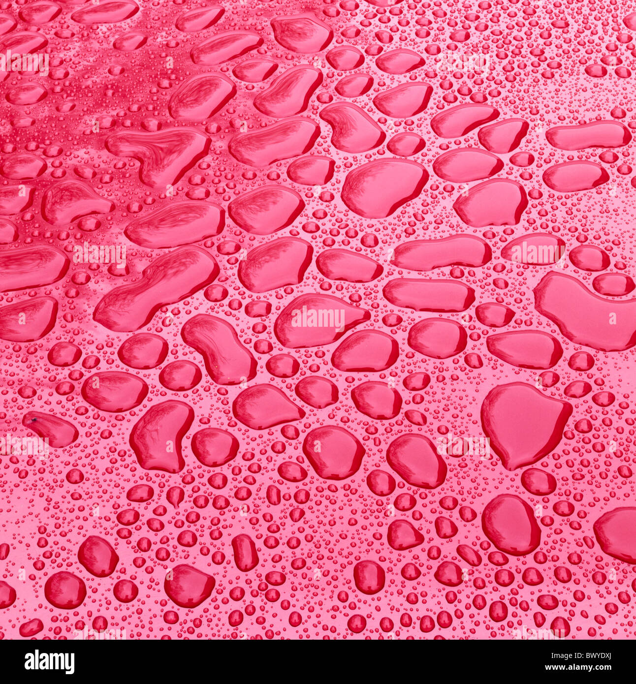 paint red surface drop of water pattern sample texture surface Stock ...