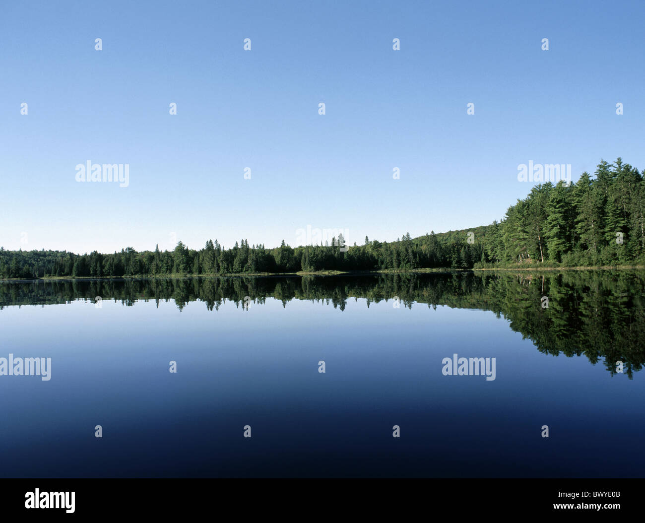 Algonquin park Canada North America plain scenery Ontarion cleanly well ...