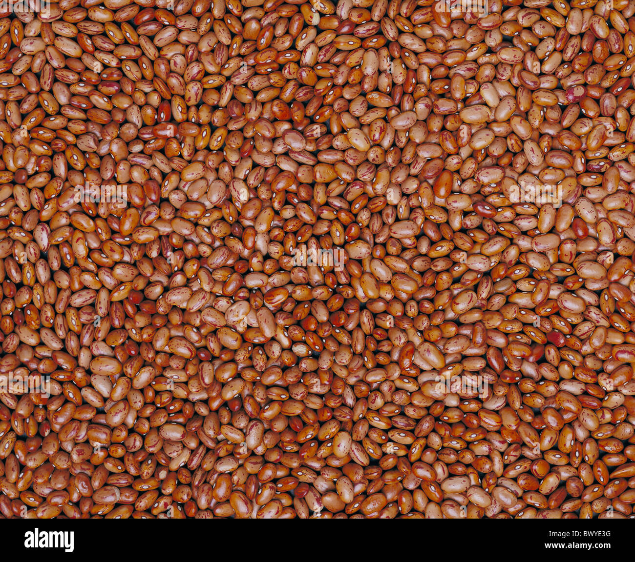 vegetables beans brown screen window bean food eating pattern sample ...