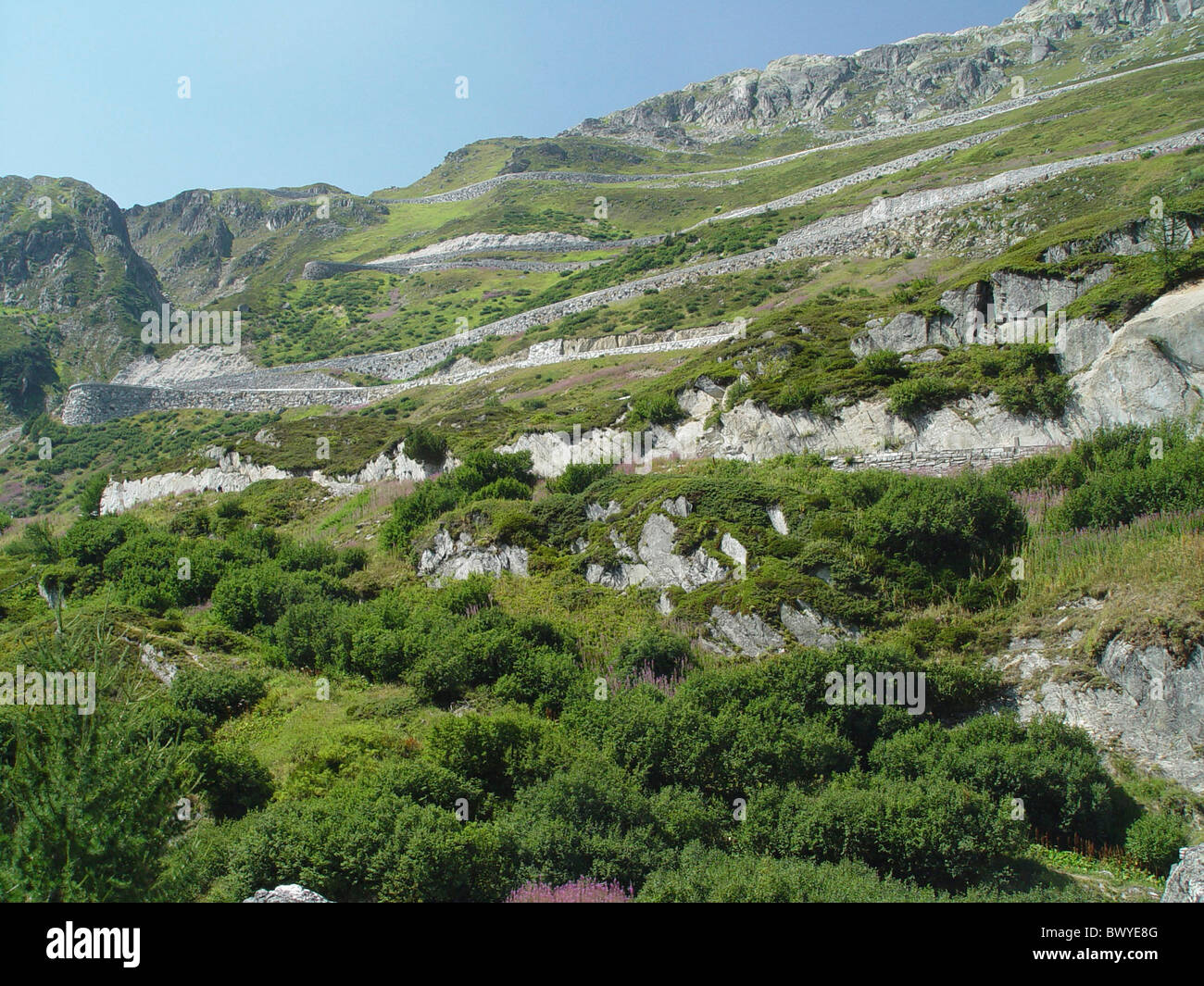 Alps Alpine Pointing Device Driver